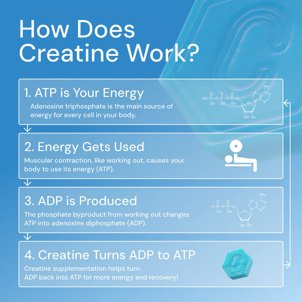 Core - Create Creatine Monohydrate Gummies – Create Wellness