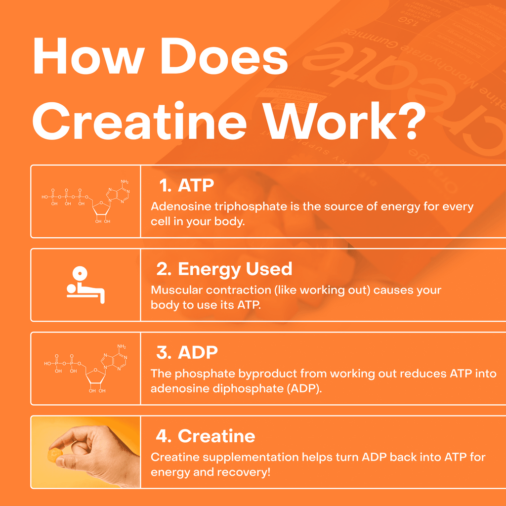 The Modern Creatine Brand – Create Wellness